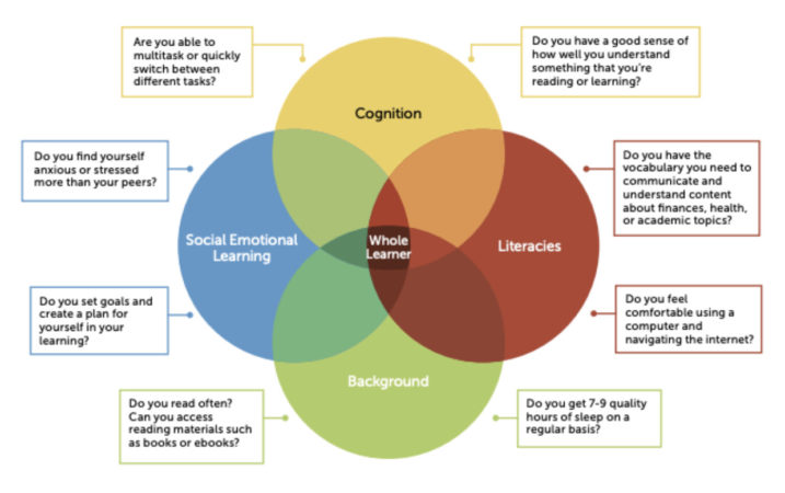 Promoting Digital Literacy for Adult Learners: A Resource Guide ...